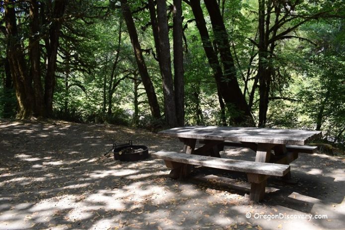 Myrtle Grove Campground - A Shaded Riverside Escape in the Myrtlewood ...