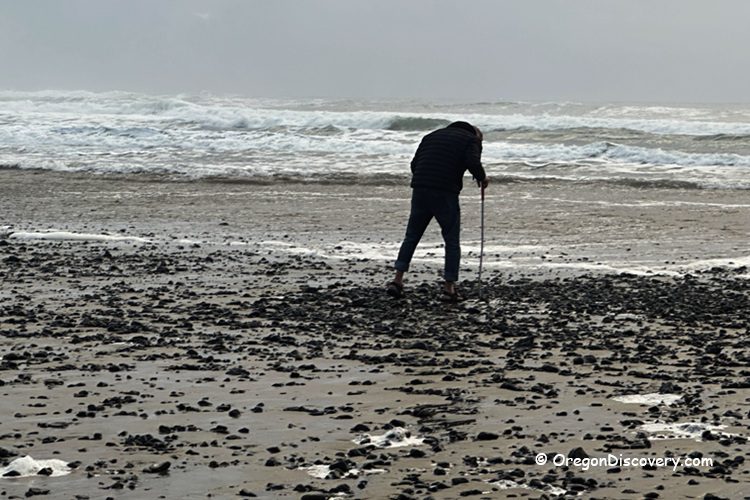 Top-Rated Beachcombing Gear - Oregon Discovery